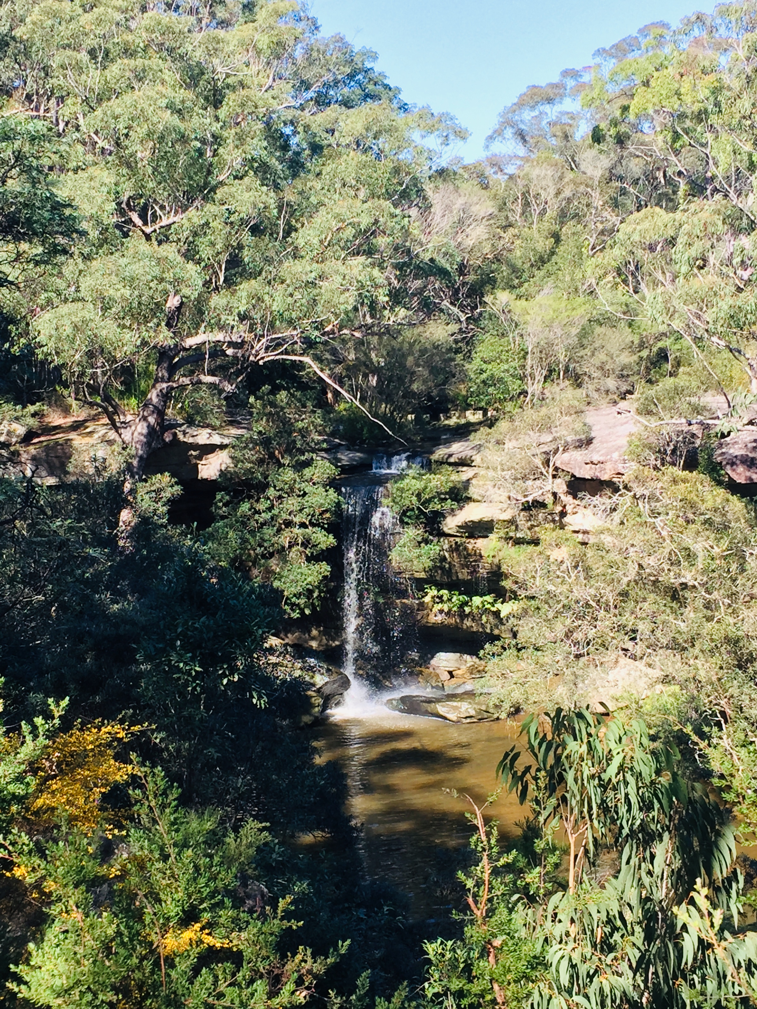 Brisbane Water National Park: Piles Creek Loop Experience – The ...